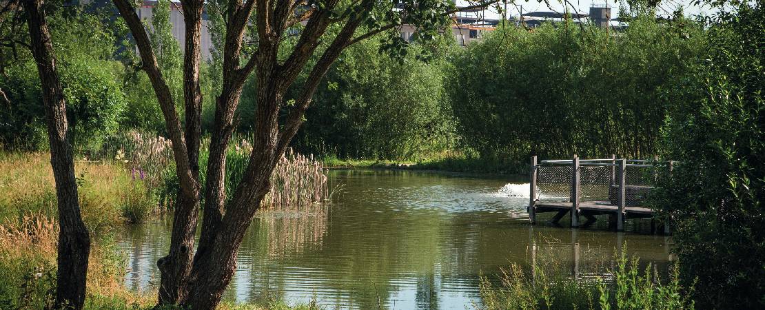 Pánta Rhei ou Héraclite et l’écoulement du devenir | Les amis des ...